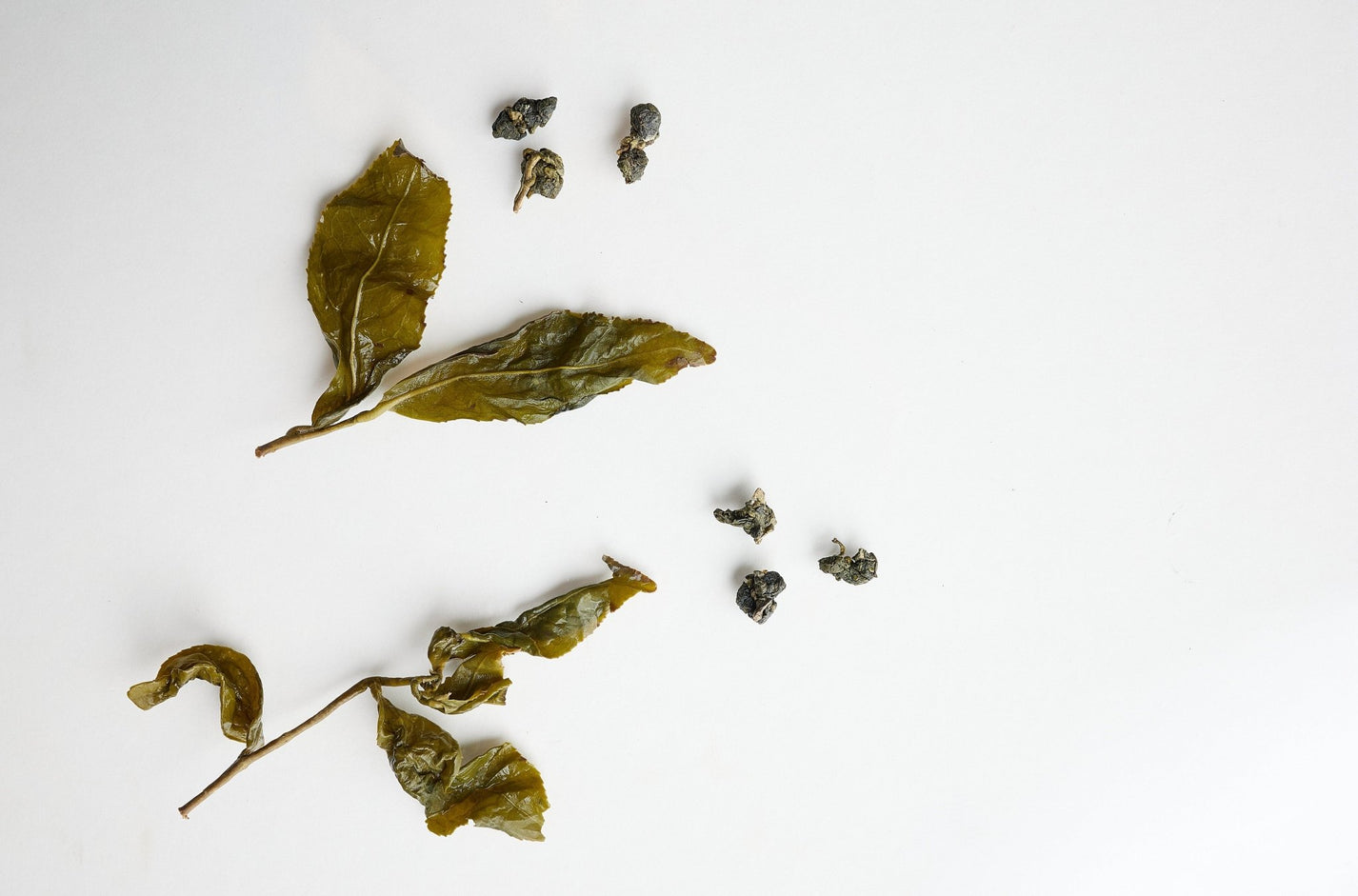 Sip and Chill: Ultimate Indulgence with Our Premium Oolong Tea – teafriend